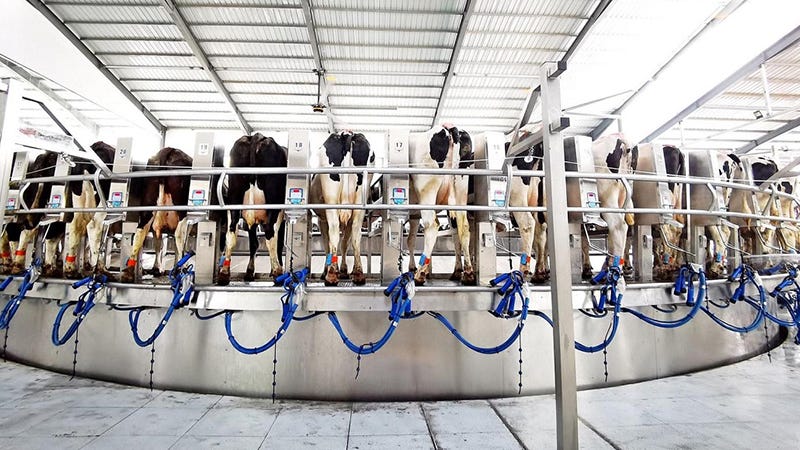 2024 Great Lakes Regional Dairy Conference focused on profitability ...