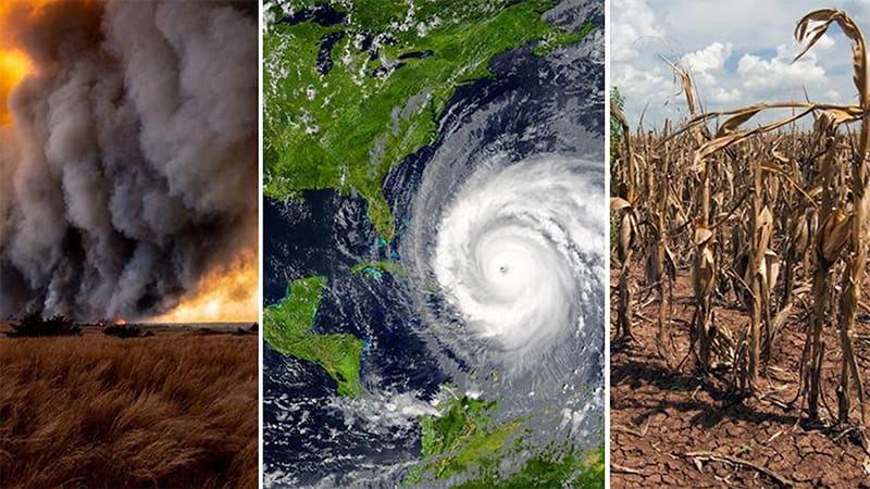 Net farm income projections skewed by pending disaster, economic relief ...