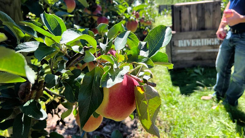 Another $40M processed apple products purchase coming from USDA, thanks ...