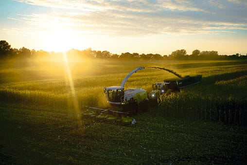 Corn Silage: High-chop or traditional cut? - Michigan Farm News