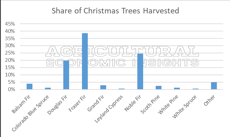 U.S. Christmas tree production and purchase trends show steady decline ...