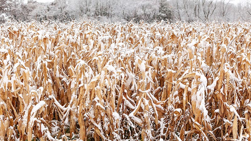 Remembering the 'historical' challenging weather of 2019 - Michigan ...