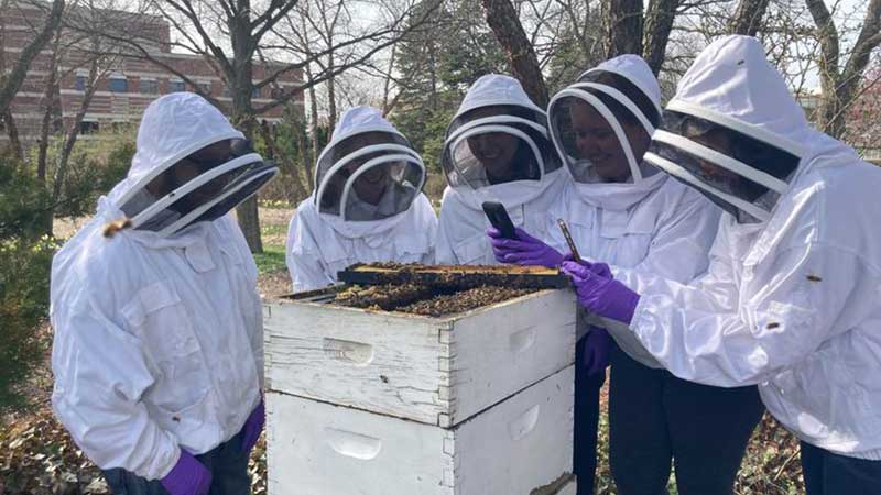 Get started with beekeeping at MI Ag Ideas to Grow With virtual ...