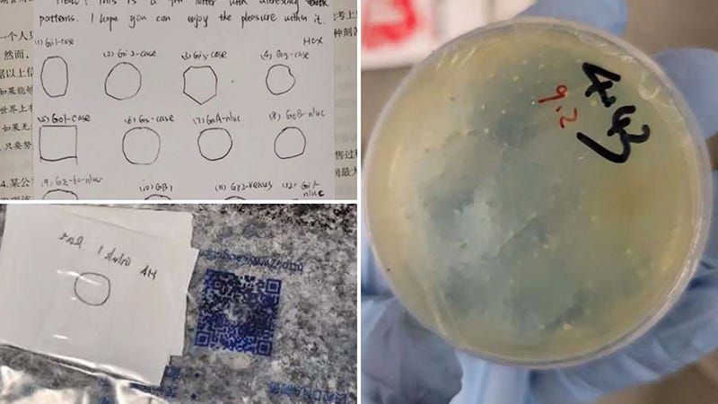 Corteva highlights Nexta biologicals, talks ROI - Michigan Farm News