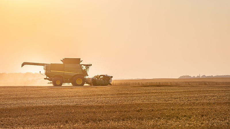 National Wheat Yield Contest honors 3 MI farmers - Michigan Farm News