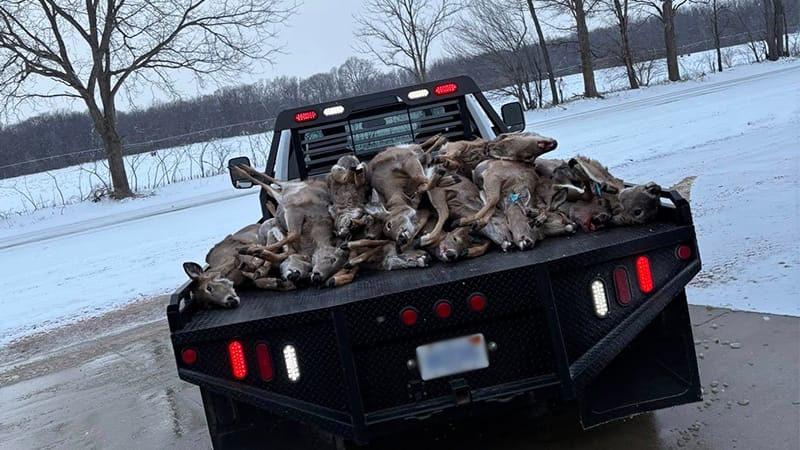 More Doe Derby success: County Farm Bureaus lead the way in donations ...