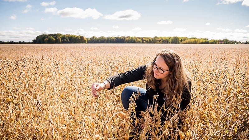 Midland’s Zastrow cards 2022 Young Farmer Leader win - Michigan Farm News