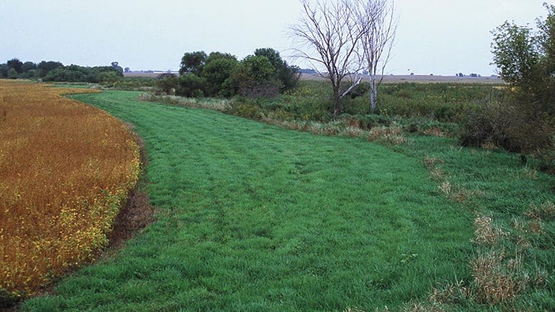 Increasing spraying efficiency with best practices - Michigan Farm News