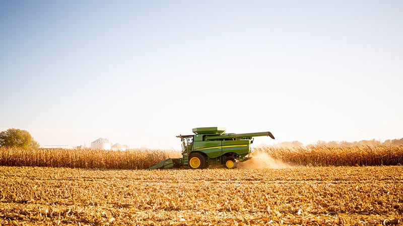 Michigan corn producers to vote on Corn Marketing Program Amendment ...