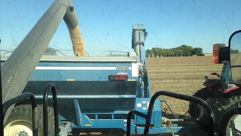 Every grain entrapment is preventable - Michigan Farm News