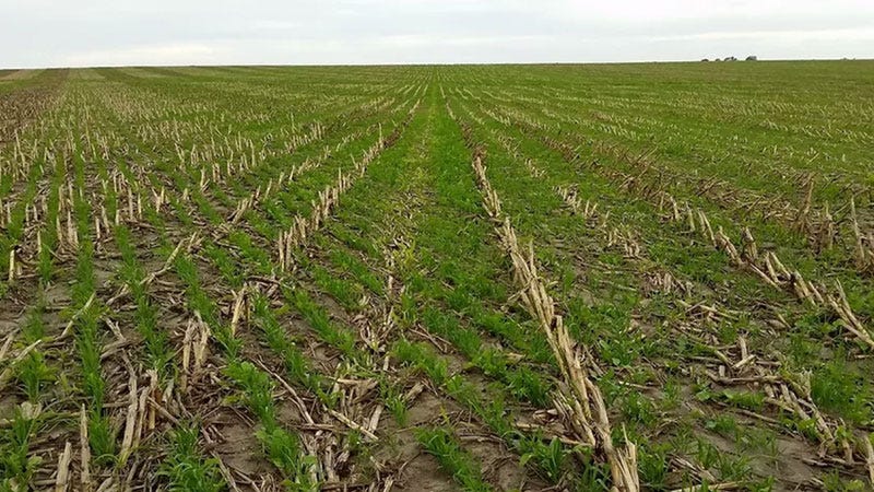 National survey documents cover crop benefits and acreage expansion ...