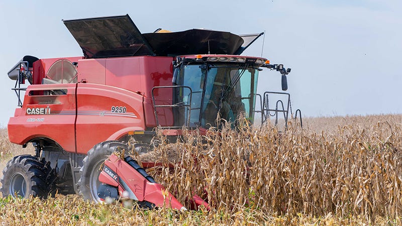 USDA’s WASDE report trims yields, boosts prices for corn, soybeans ...