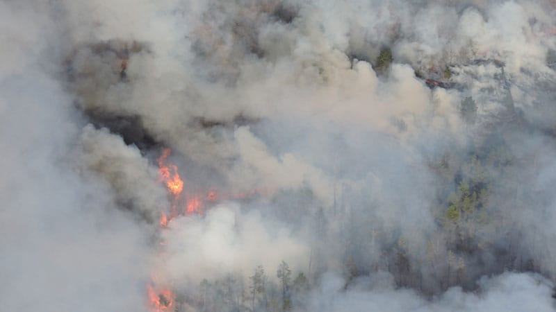 Firefighters knock back 105-acre fire in jack pines near Grayling ...