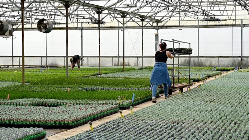 Earned Sick Time Act rules taking effect for small farm employers ...