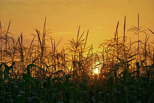 June memorial planned for Bob Zeeb - Michigan Farm News