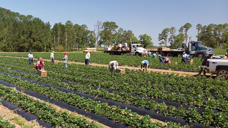 USDA faces 90-day window for economic assistance payments to producers ...