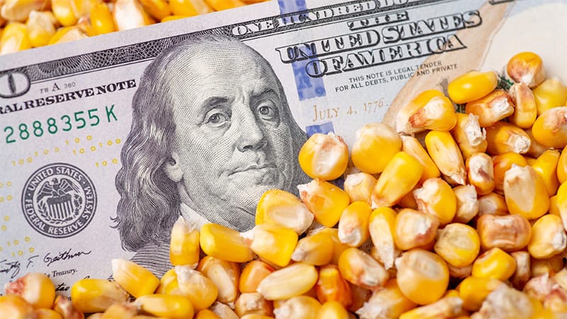 Home Page - Michigan Farm News