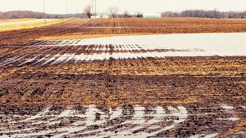 Rain-delayed fieldwork expected through April - Michigan Farm News