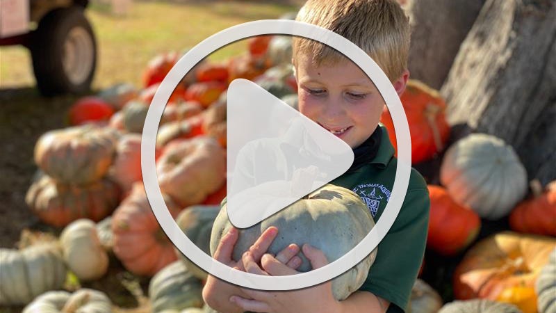 VIDEO: It's pumpkin season at Barkham Creek Farms - Michigan Farm News
