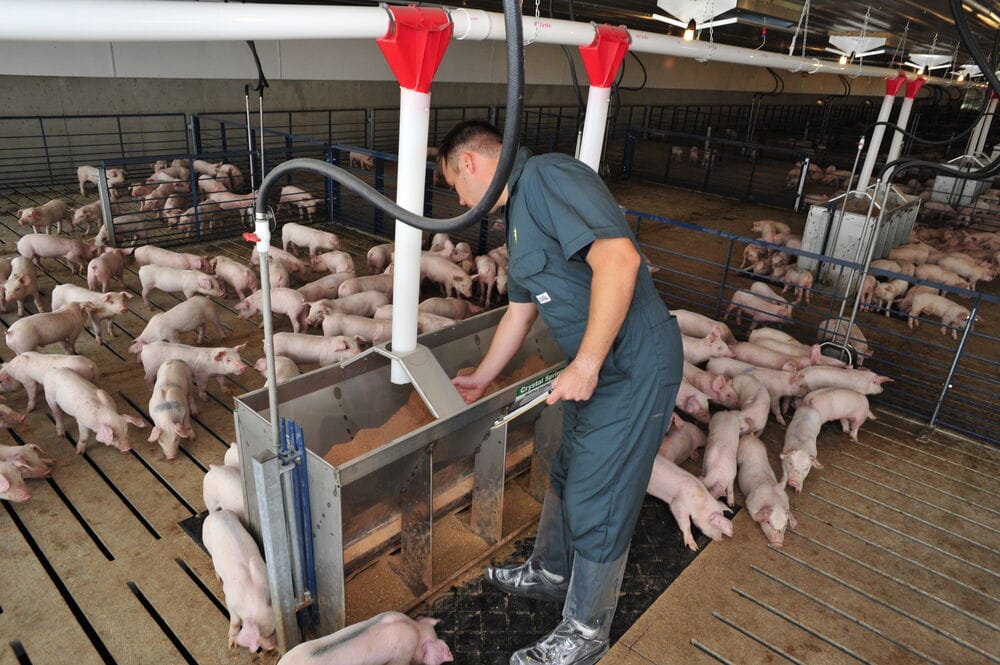 Breaking down CFAP 2 details and payment rates - Michigan Farm News