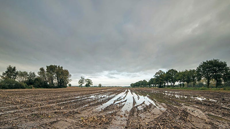 Weather - Michigan Farm News