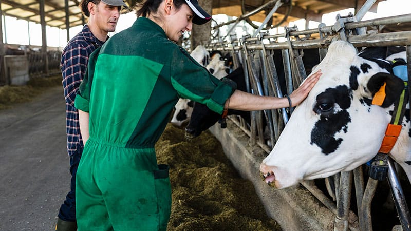 Don't miss out: free, virtual agricultural labor series Feb. 11 & 18 ...