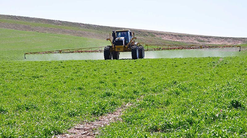 Cover crop termination decisions and options - Michigan Farm News