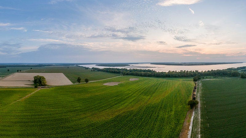 File acreage report by June 15 to receive premium benefit for cover ...