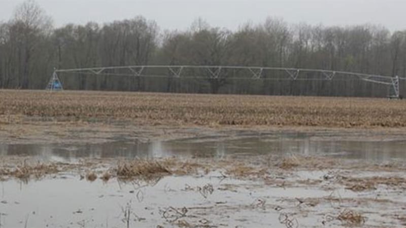 Michigan Farm News