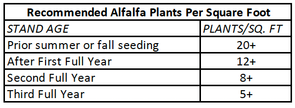 Spring evaluation of your alfalfa stands - Michigan Farm News