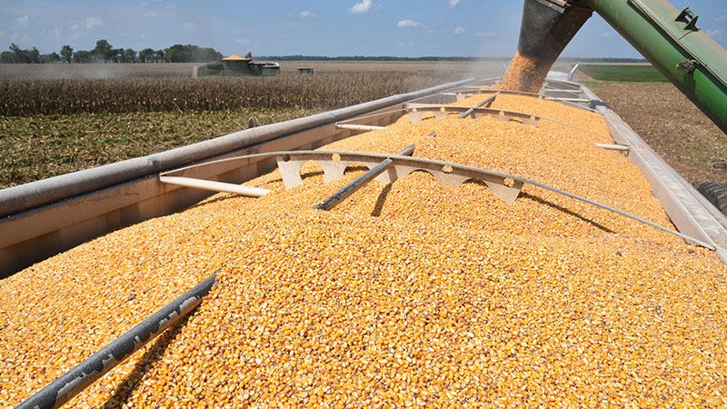 USDA projects increase for 2021 farm income - Michigan Farm News