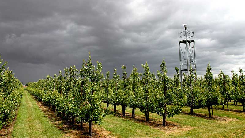 Life after Avipel? New equipment another option for crop growers ...