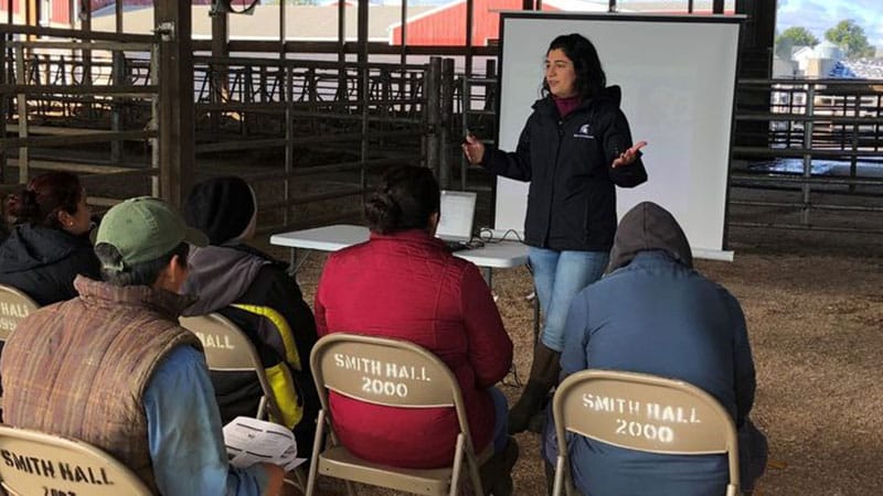 On-farm employee trainings available for Michigan dairy farms ...