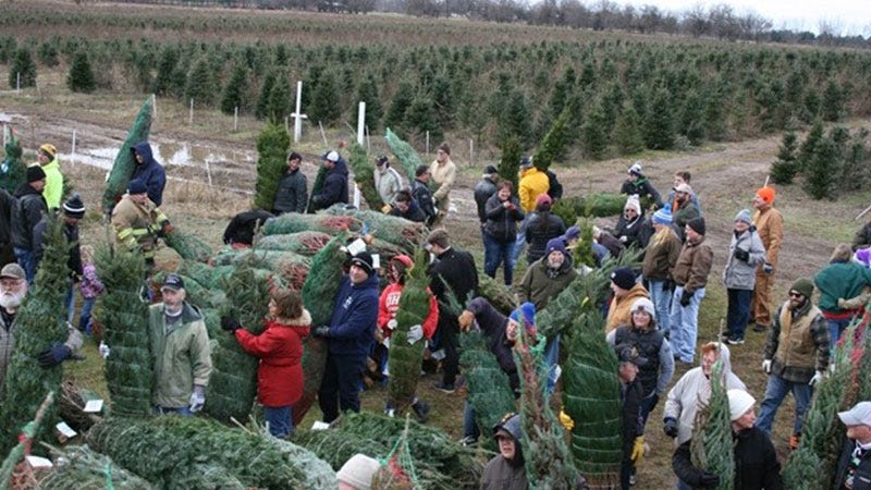 Member farms donate Christmas trees to military families - Michigan ...