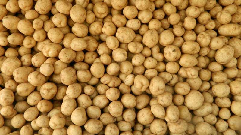 MSU researchers awarded $750K grant to develop sustainable management ...