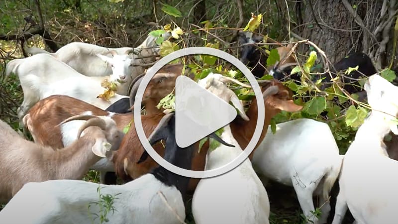 Home Page - Michigan Farm News