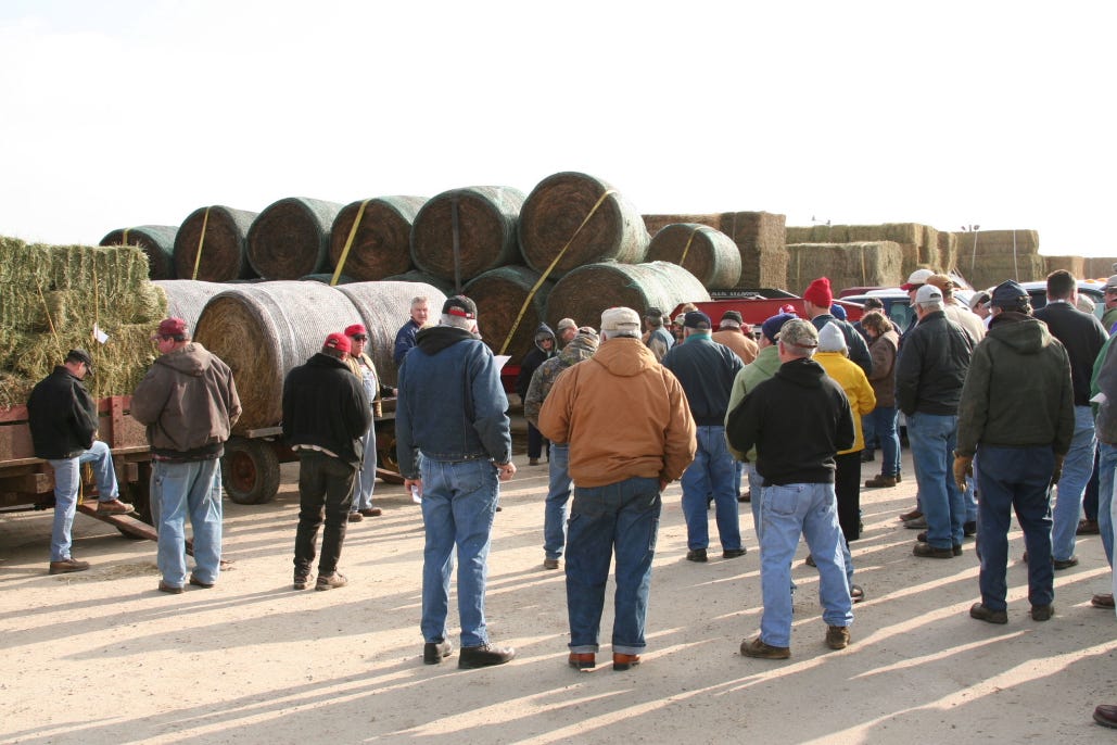 Pricing standing forage – in weather challenged crops - Michigan Farm News