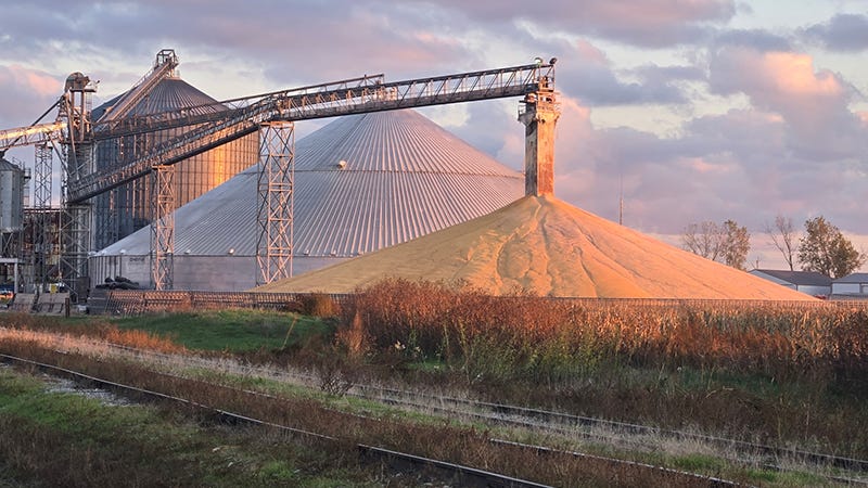 USDA's WASDE turns markets bearish despite yield cuts - Michigan Farm News