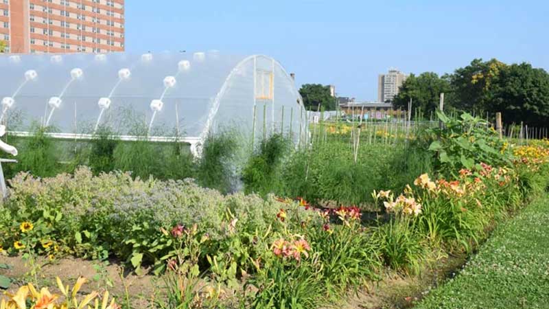 Urban ag, innovative projects eligible for millions in USDA grants ...