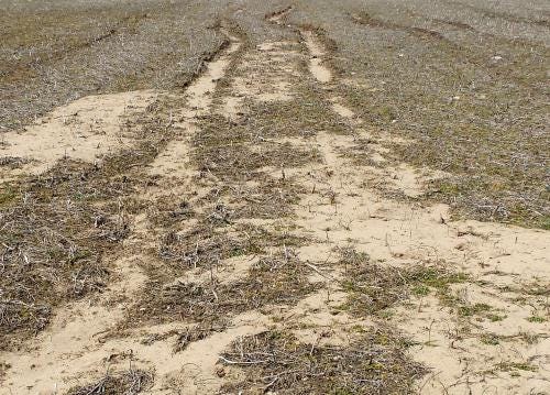 Repairing harvest ruts this spring without creating a bigger problem ...