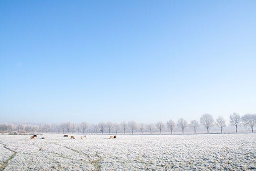 Who are the nation’s 100 largest landowners? - Michigan Farm News