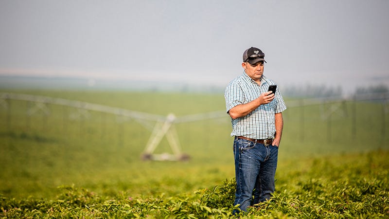 Crops - Michigan Farm News