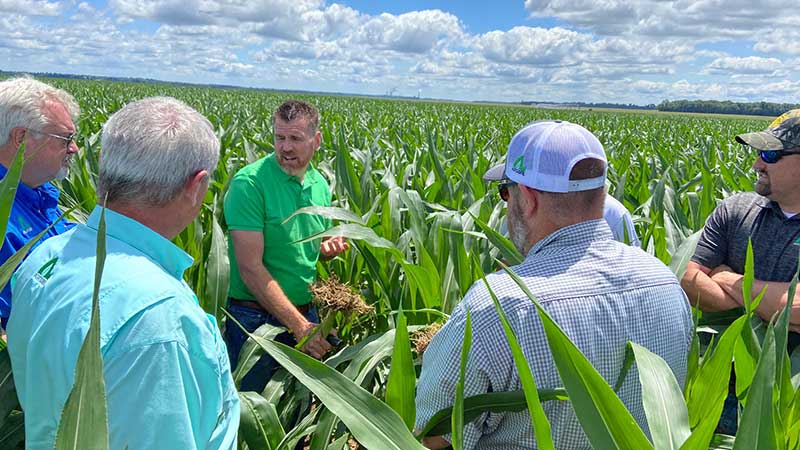 Virtual 'Crop Nutrition Week' series to focus on fertilizer management ...
