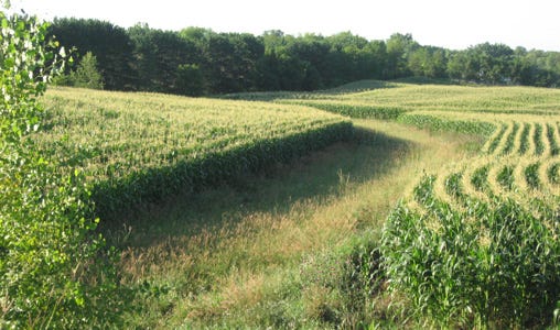 Environmental Quality Incentives Program signup deadlines near ...