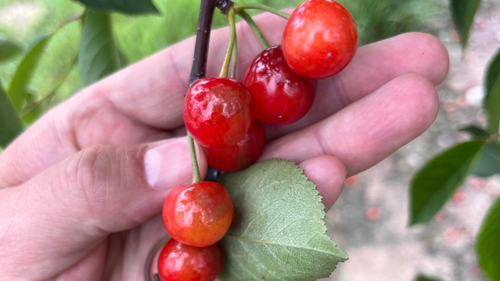 Powerful storm leaves ‘another level’ of damage in its wake, wreaks ...