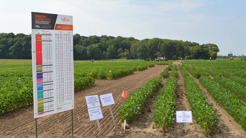 Join MSU Extension's event on the latest corn and soybean weed control ...