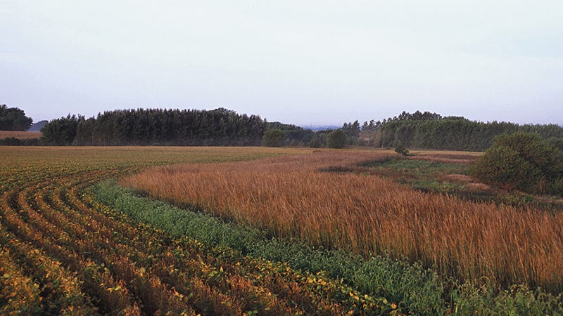 EGLE announces 7 grants to control or prevent nonpoint source pollution ...