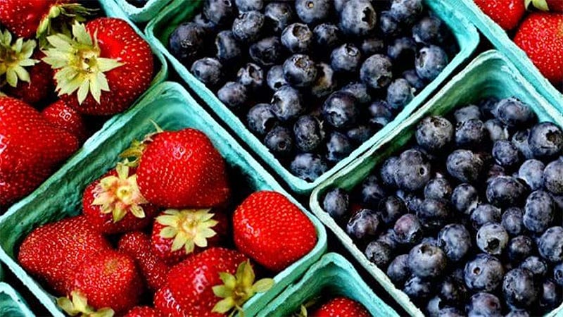 Import pressures abound in USDA's analysis of US blueberry, strawberry ...