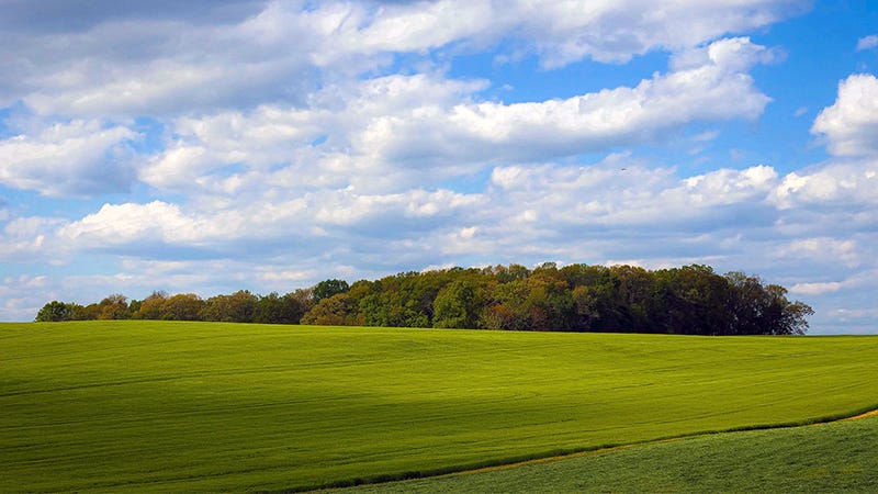 Less farmland, fewer farms, more money: 'This is a long-term trend ...