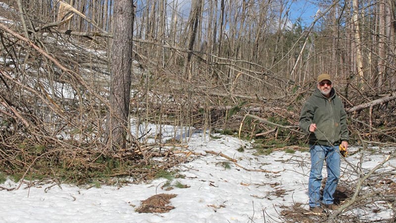 Whitmer seeks FEMA disaster declaration extension, producers seek USDA ...